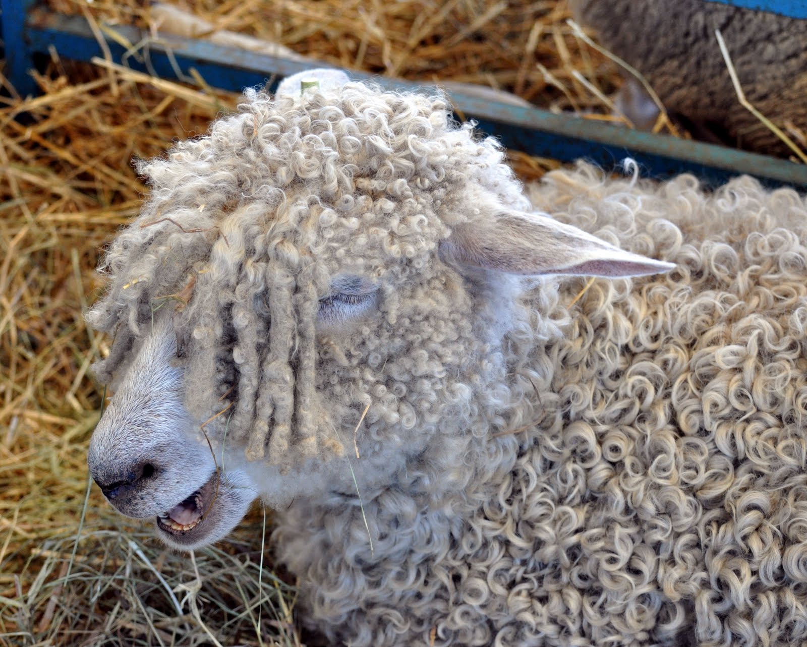 New England Photos: October 2010