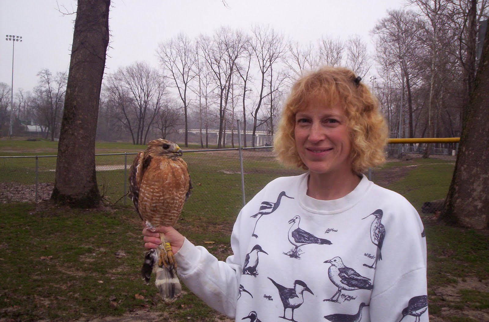 The Siscowette: December 2010