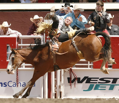 equids: Calgary Stampede Rodeo