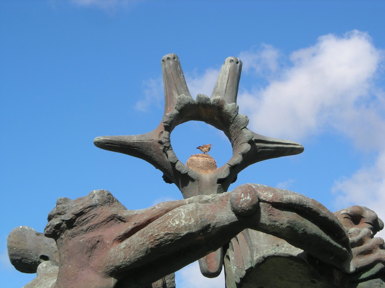 Wendy's Wonderings and Wanderings: Birds, sculpture and houses in Uruguay