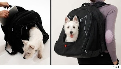My Funny: Unique Backpacks | Pictures