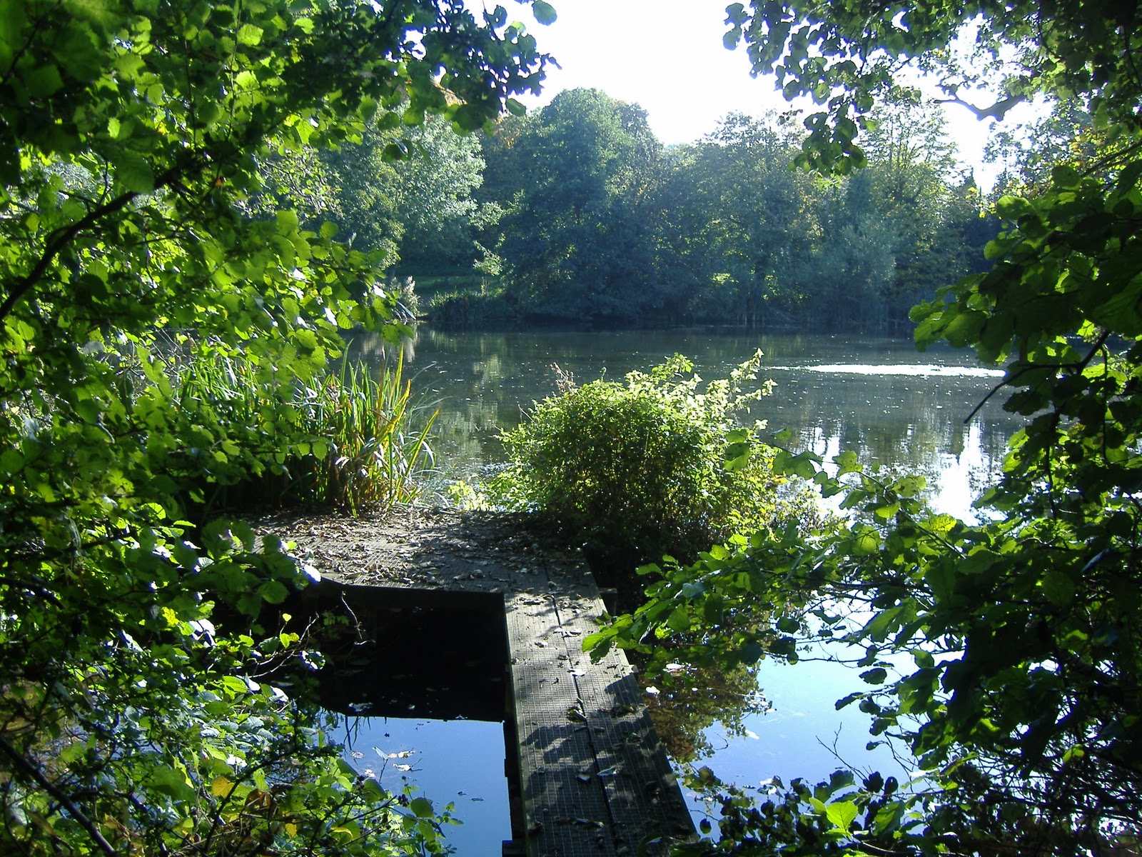 The Intrepid Piscator: More Redmire Pool Pics