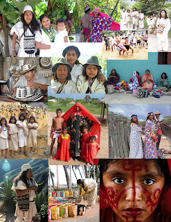 FELINOS: HISTORIA INDIGENA EN COLOMBIA