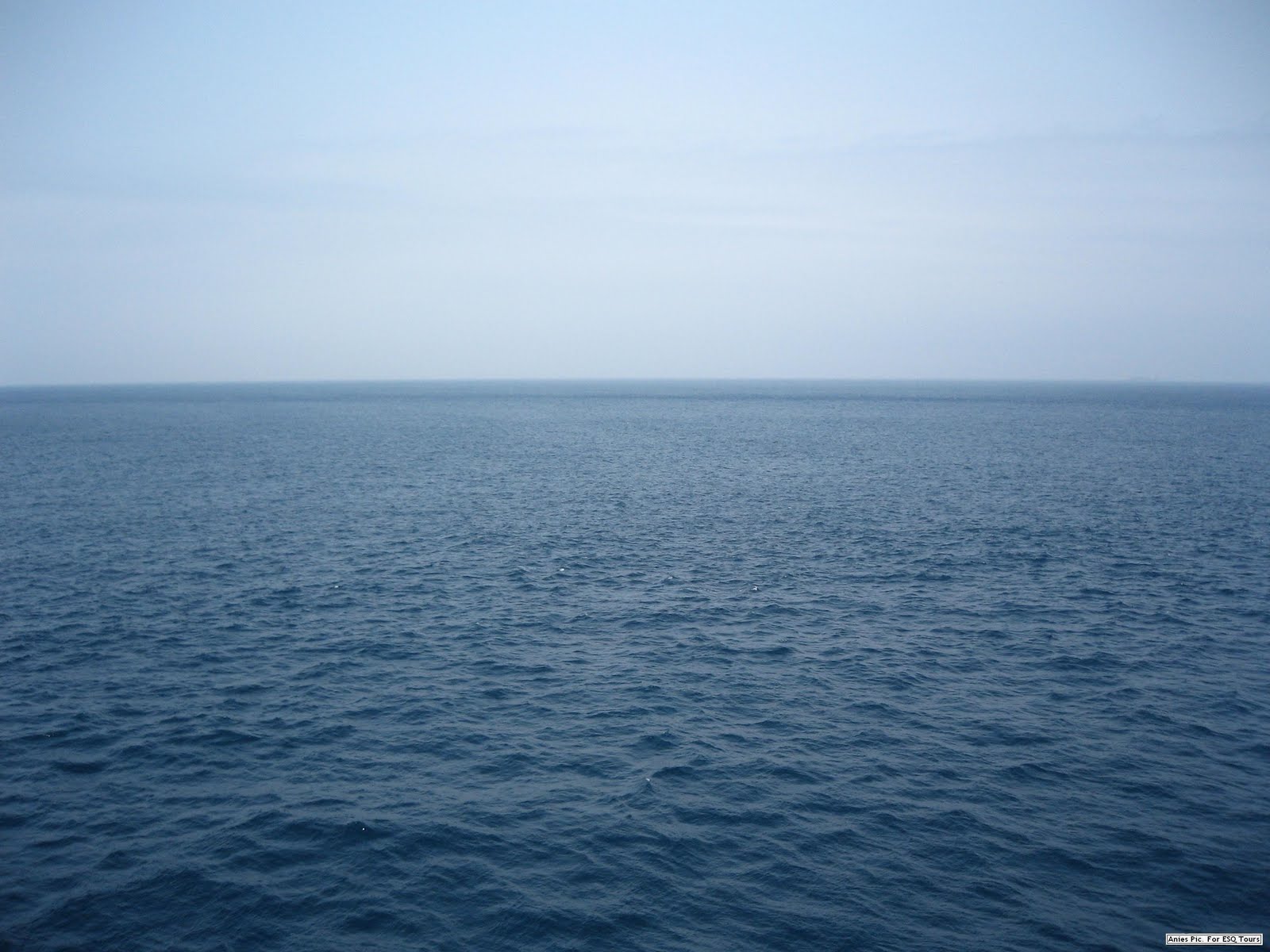 sii MikrosKopis LeTARe..LeTARe!!: KEHIDUPAN LAUT...