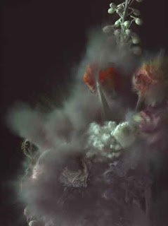 Rebecca Ibel Gallery: Ori Gersht - Opening in December