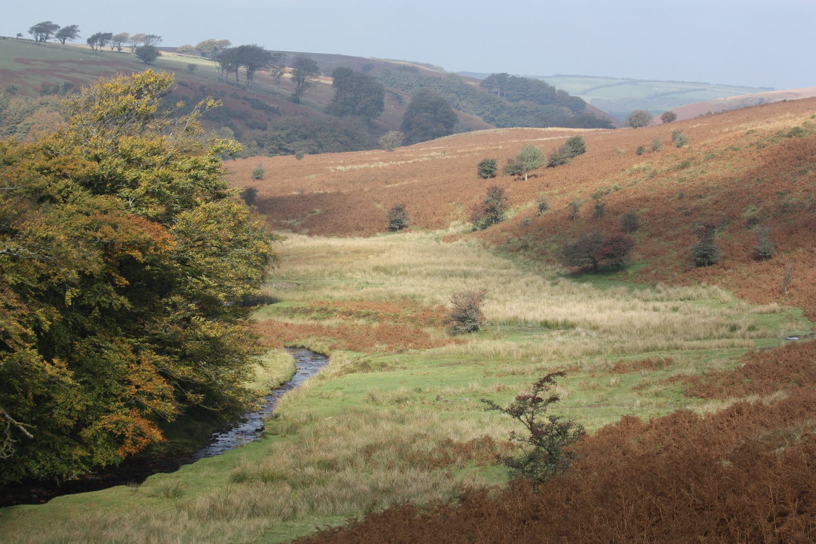 Exmoor: The Blue Ball Inn