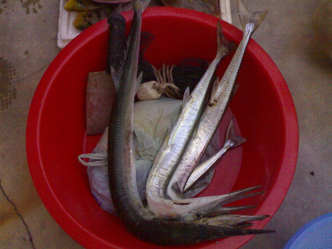 KAKIPANCING: KAKI PANCING