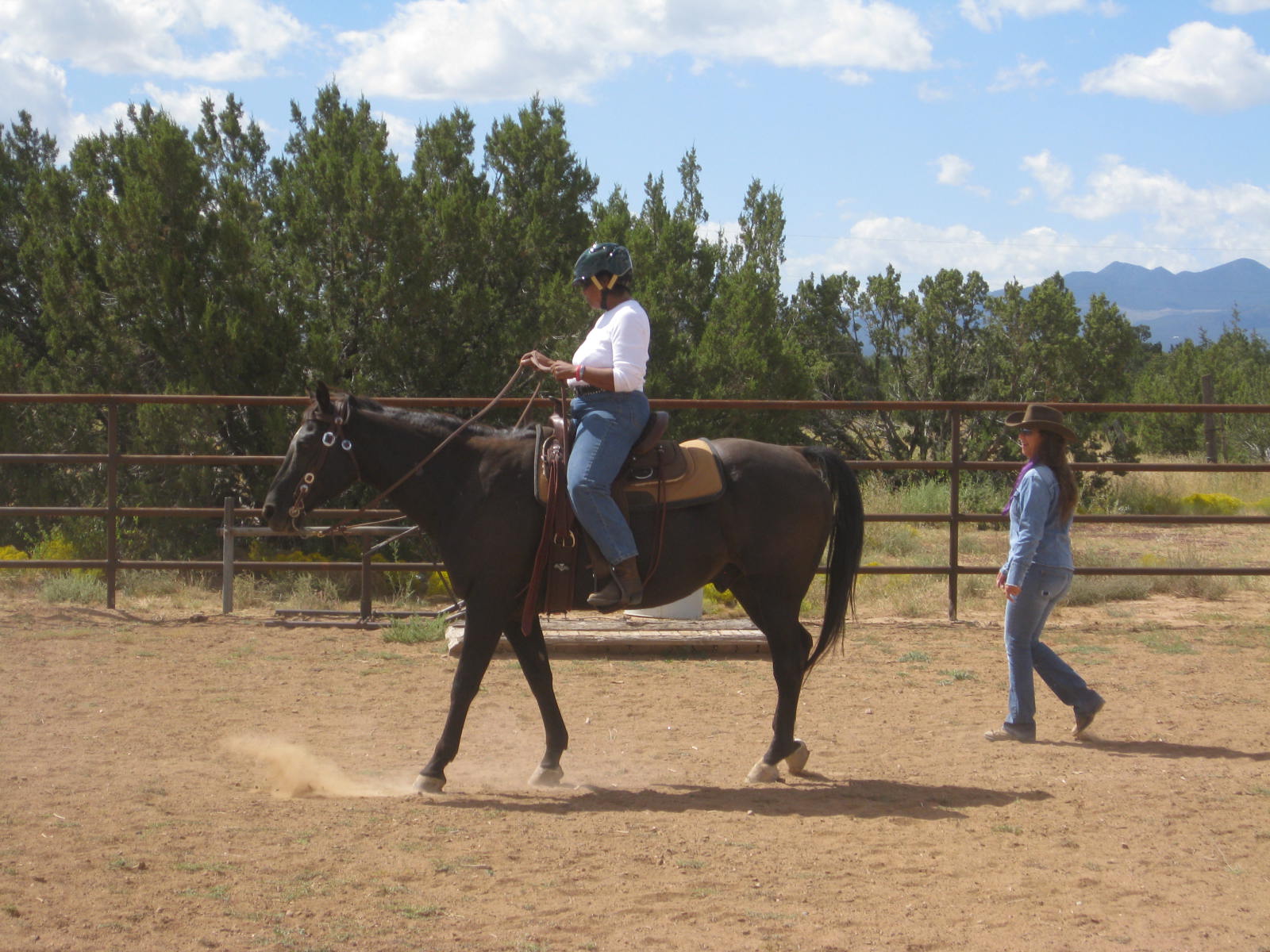 HORSES FOR HEROES New Mexico - Cowboy Up! 505-798-2535: Congressman Ben ...