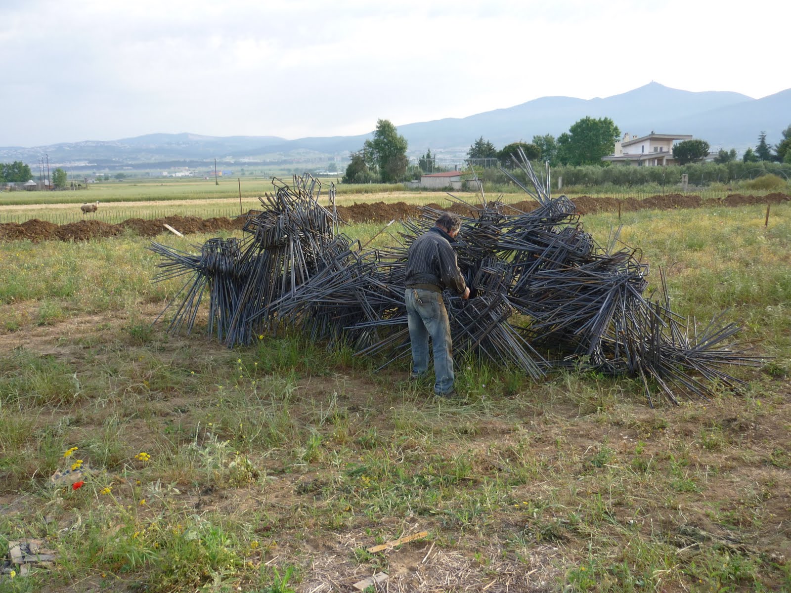 ΕΡΓΑΣΙΕΣ ΣΙΔΗΡΟΥ ΜΠΕΤΟΝ - KAΤΑΣΚΕΥΗ -ΤΟΠΟΘΕΤΗΣΗ: ΤΟΙΧΙΟ ΠΕΡΙΦΡΑΞΗΣ