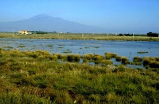 Riserva Naturale Oasi del Simeto