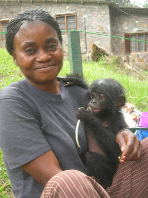 Bonobo Handshake: Lomako