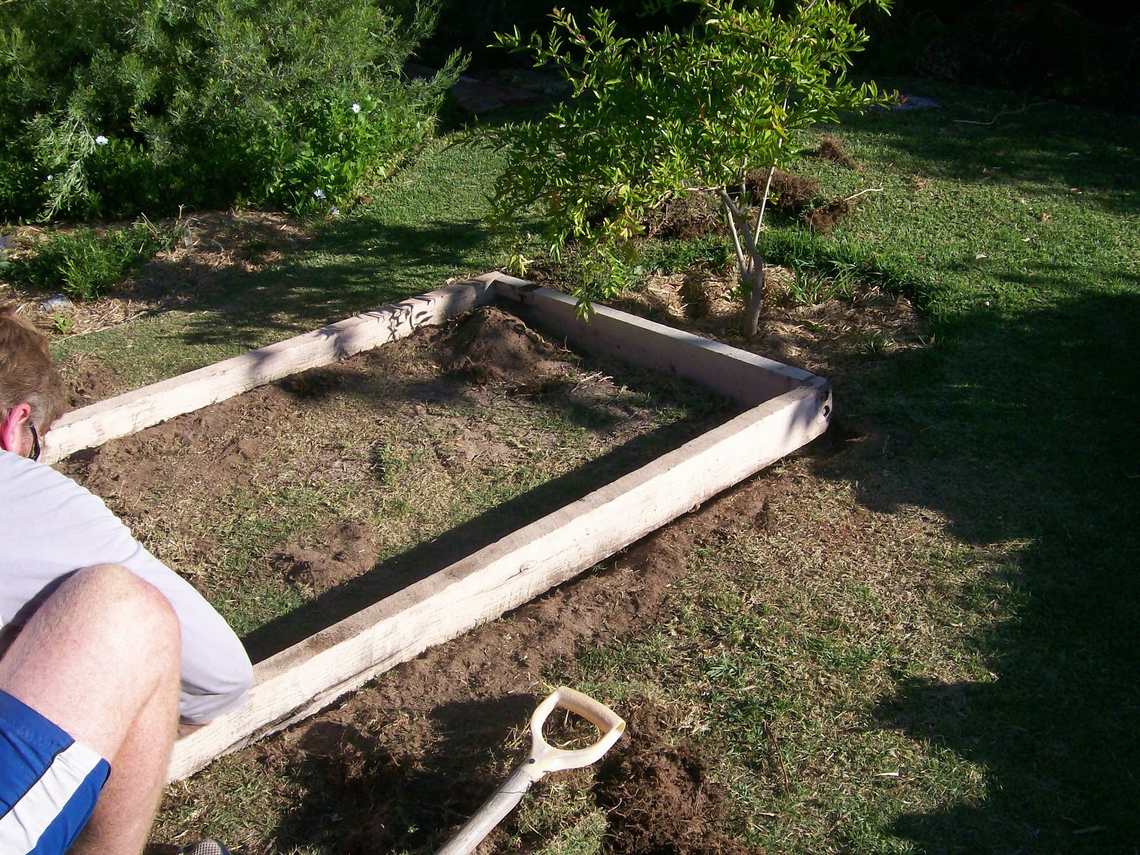 Sustainable Sisters Team: Building a No Dig Garden - In Stages