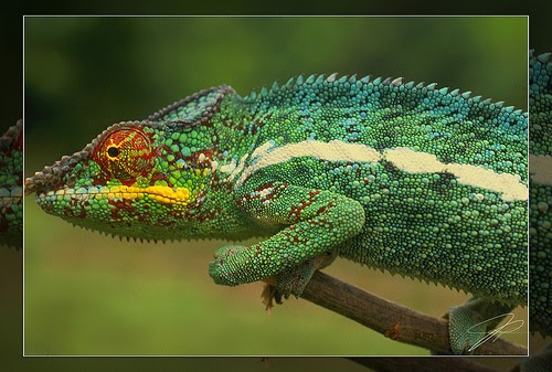 Life is like a wheel: Hunyango