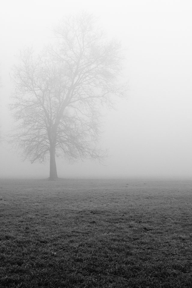 The Kat Eye View of the World: Exploring with a Camera: Fog