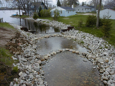 The Queen Bee Show: Rock Ramp