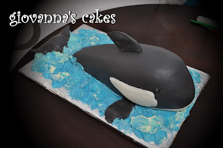 giovanna's cakes: shamu whale cake