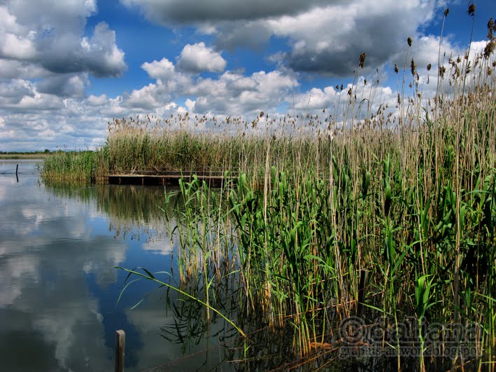 Photographis: Snagov Lake - Romanian Landscapes