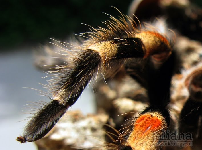 Photographis: Photography Contest - The Winner