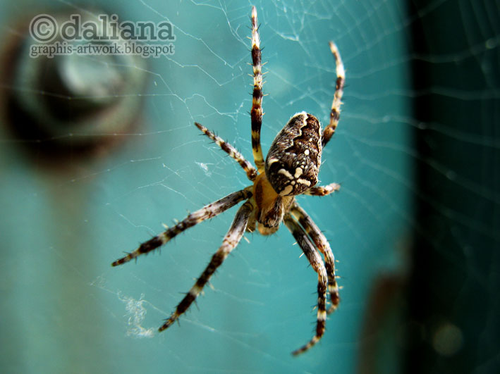 Photographis: October 2010