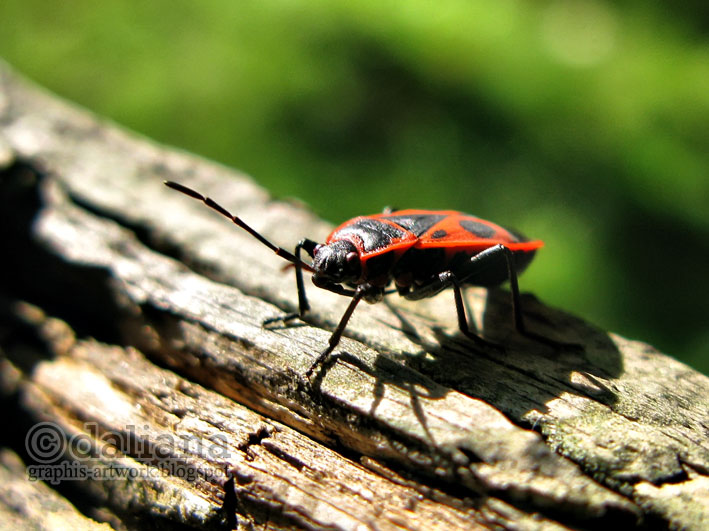 Photographis: October 2010