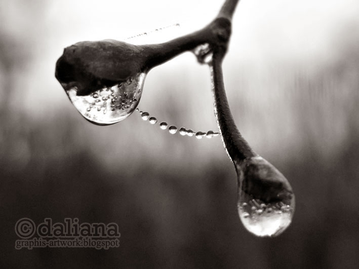 Photographis: November 2010