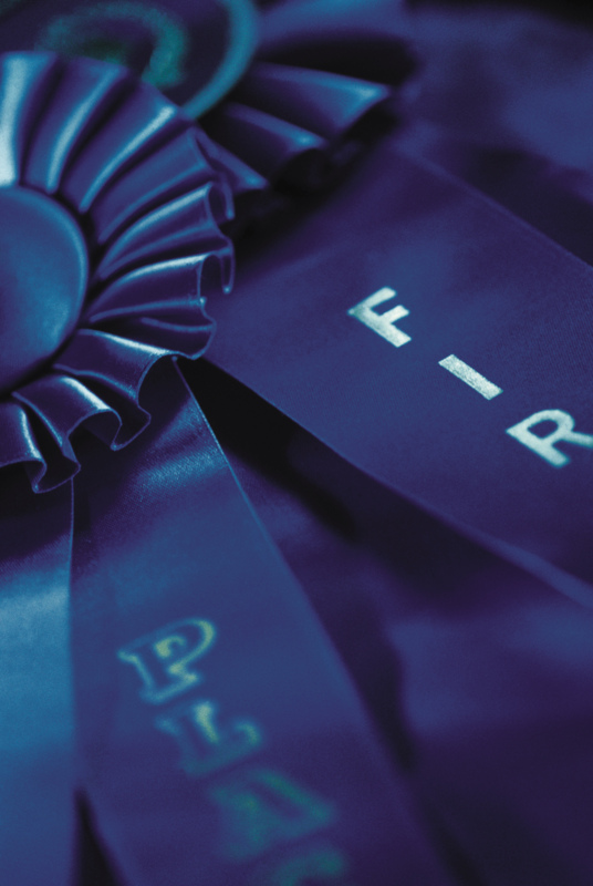 Blue Ribbon Recipes ~ Ranch Rolls ~ Faithfulness Farm