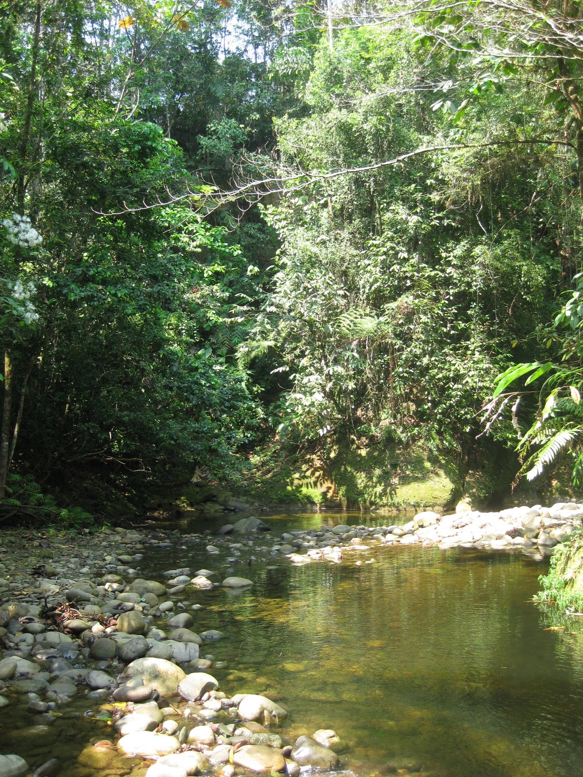 Get Out the Map: Villa Tunari