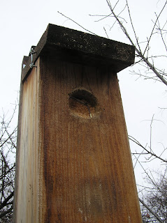 Montana Wildlife Gardener: February 2010