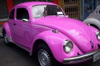 Club do Fusca Rosa: Fuscas Rosa