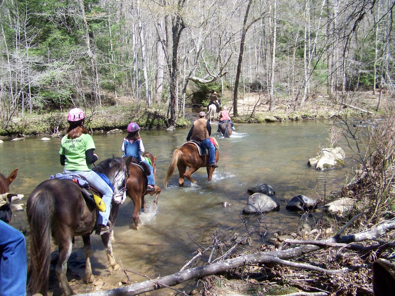 Zenith Stables & Campground at Joe Sears blog