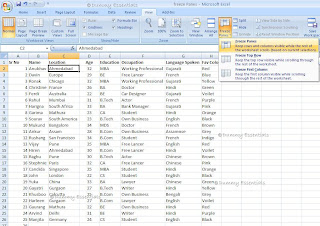 Dummy Essentials: Lock Rows and Columns In MS Excel 2007