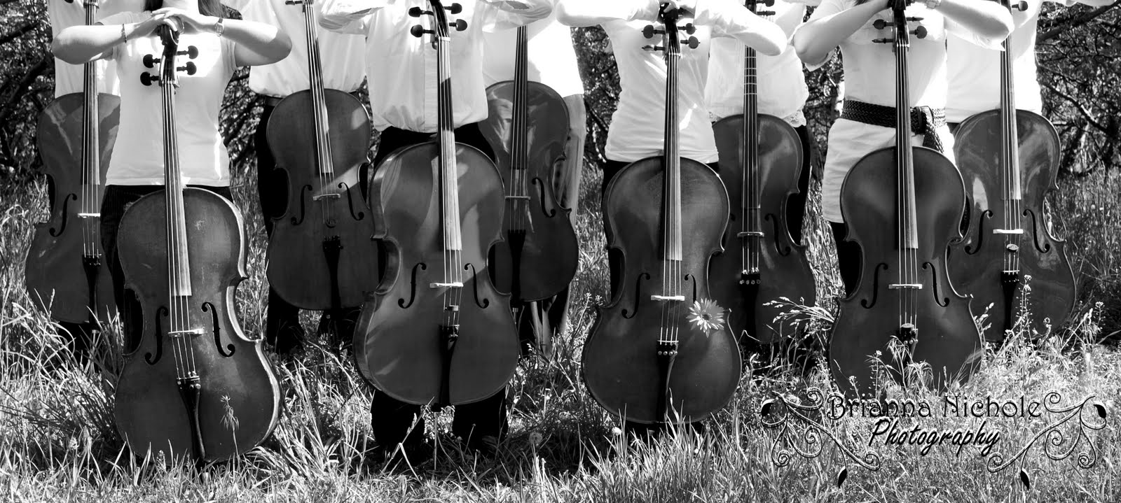 Brianna Nichole Photography: Cello Group