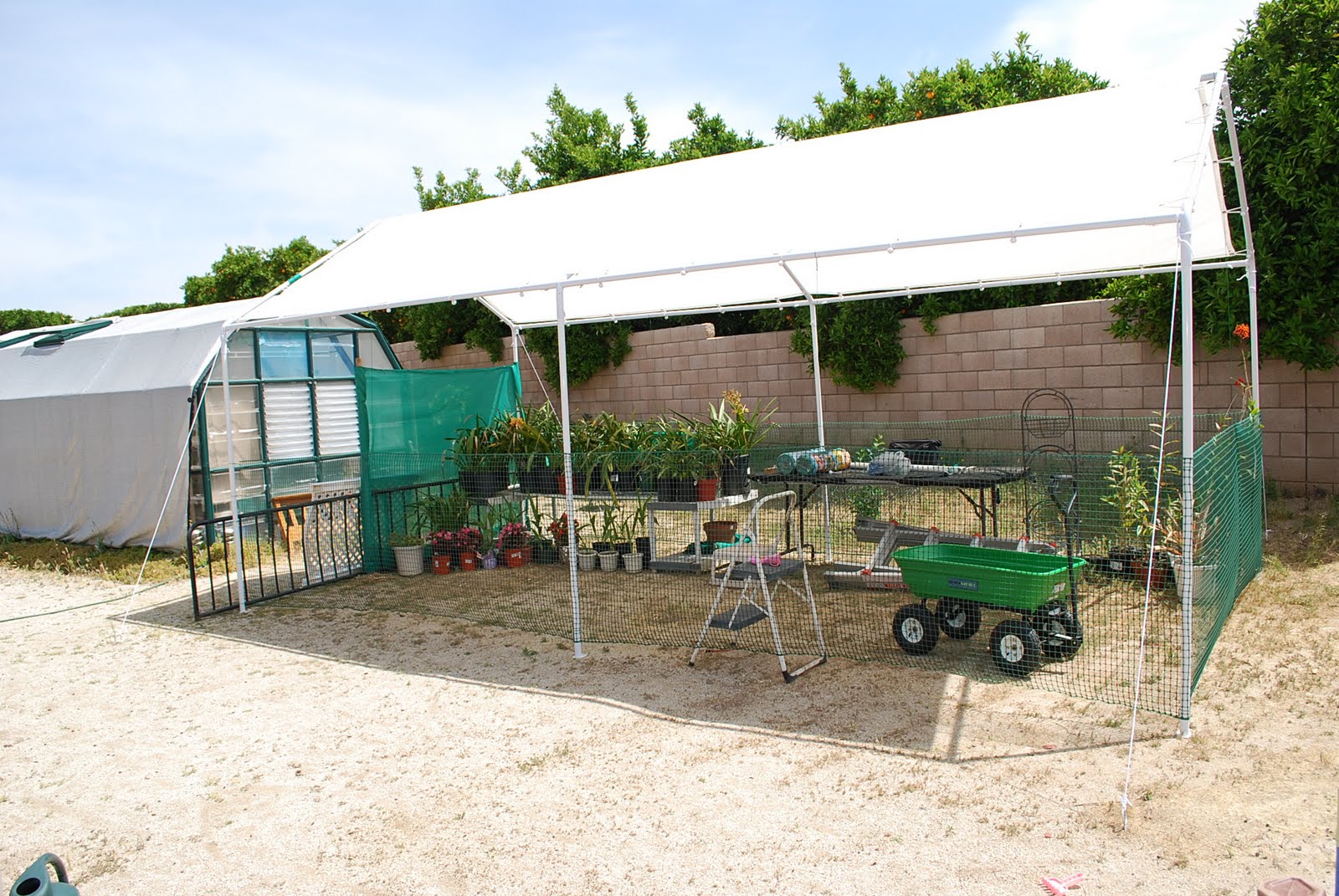 RuggedOrchids - You grow orchids where?: Orchid garden is expanding ...