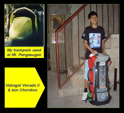 Warrior Pilgrimage: OPINION REVIEW: Habagat Venado II