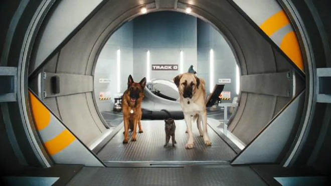 Movie Review: Cats & Dogs: Revenge Of Kitty Galore - Selina Wing - Deaf ...