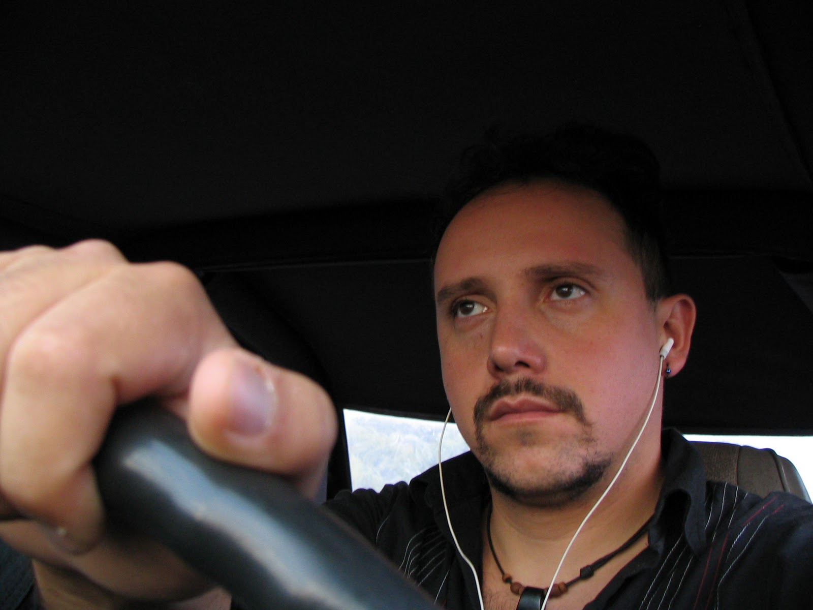 Roberto Rojo: Bichos