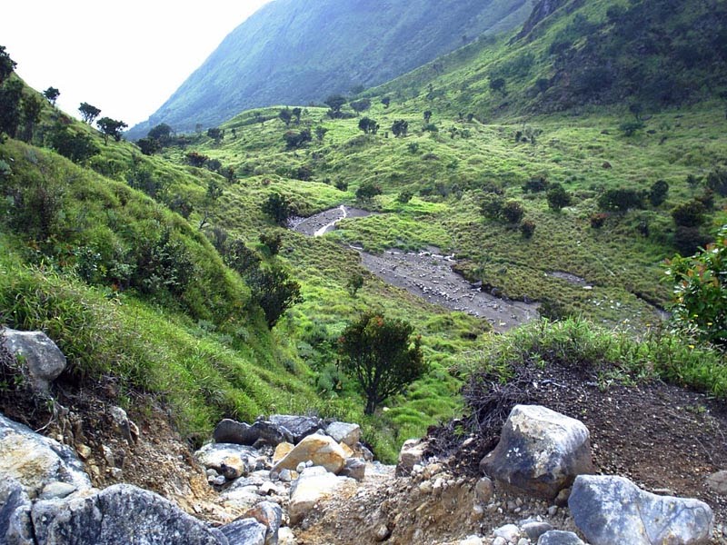 pecinta alam: pecinta alam