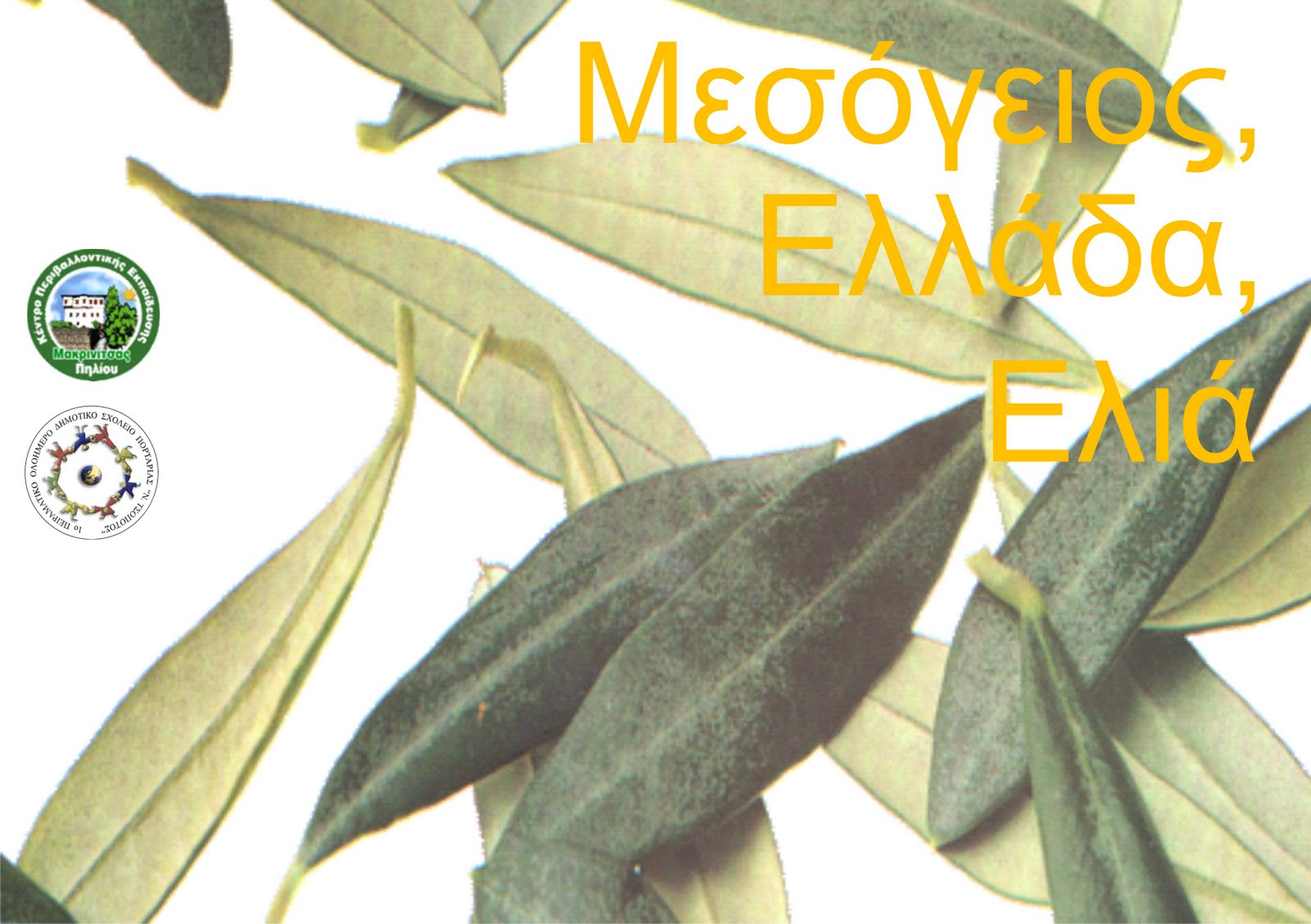 Ελια, του ηλιου η θυγατερα: Η ελιά στο Πήλιο