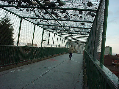 Belfast Revisited - A Moment In Time - Kids - The Crazy Life: Falls ...