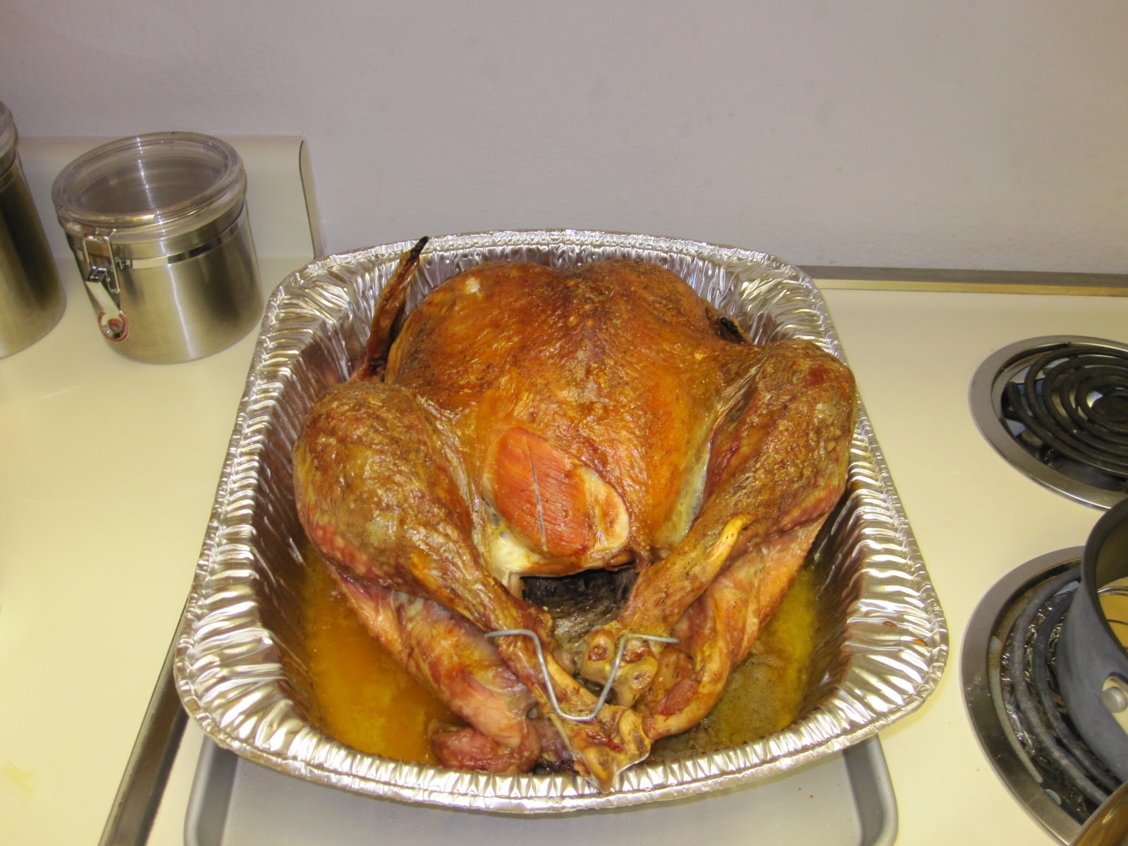 The Berry Patch: Turkey Lurkey