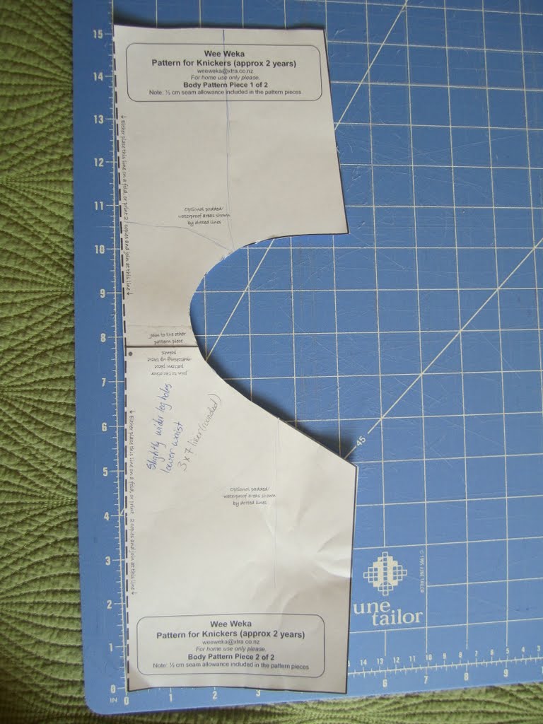 Mommy's Making a Mess: Cloth Training Pants!