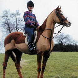 Le monde du Cheval: Le Don