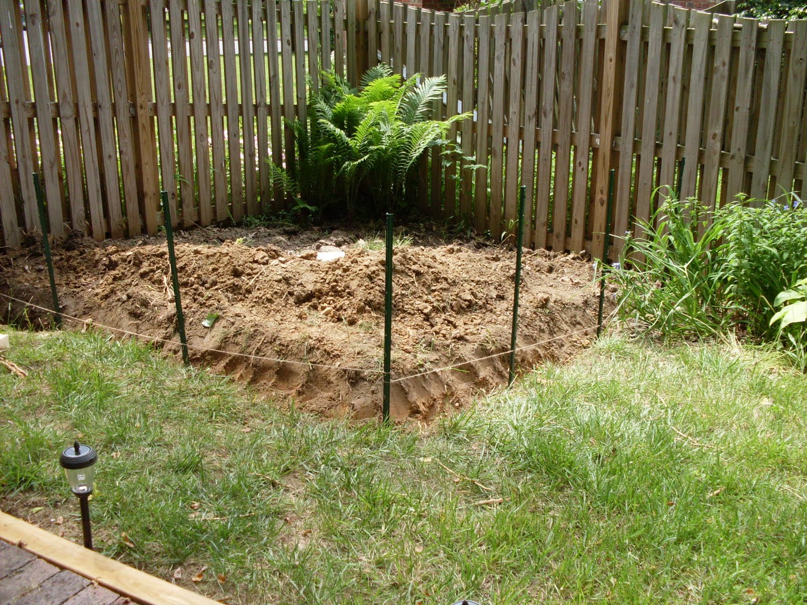Bizarre Gardening Accident: Vegetable Garden