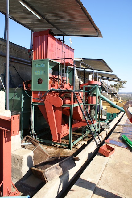 Village Chicken: Coffee: from field to cup