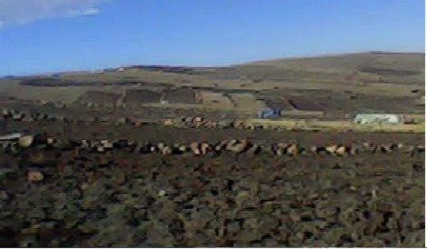 WALATA GRANDE: HISTORIA DE WALATA