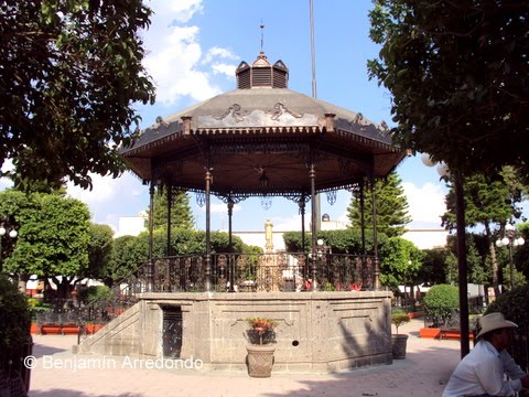 Cabezas de Aguila: Coroneo, Guanajuato. Cabeza número 88