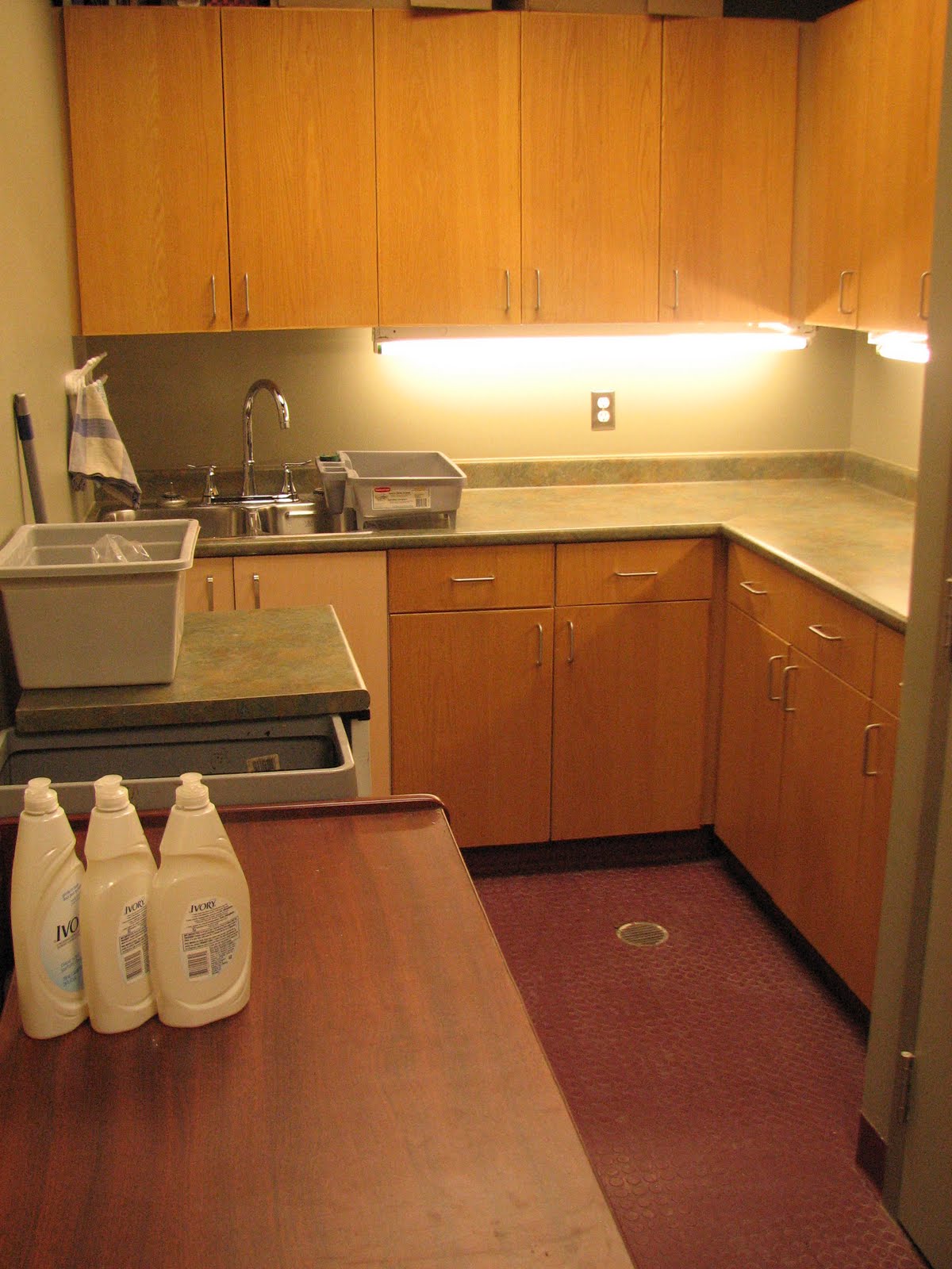 ANDREA GRAHAM : January 2011