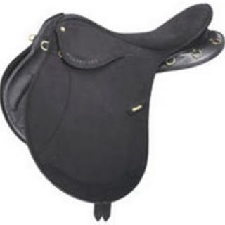 Saddle Fitting: The Inside Journey: Back to Basics - Saddle Types