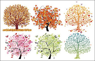 Imagine Wallpaper: 6 Beautiful Trees Vector Graphics
