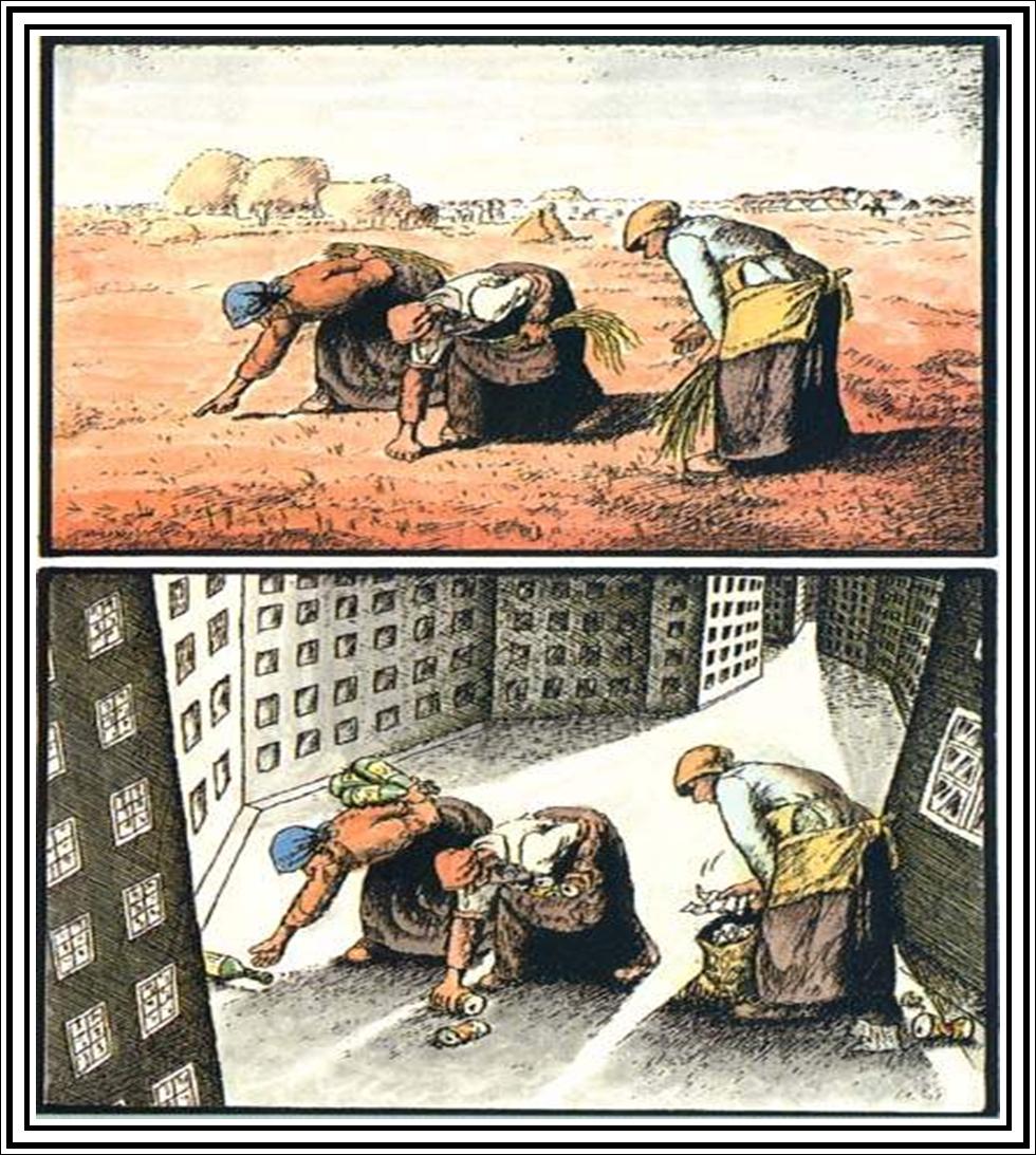 Coordenadas: Êxodo rural